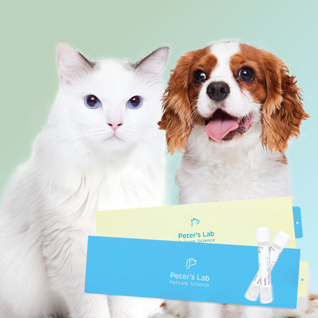 DOG & CAT🐶😺 – Peter's Lab