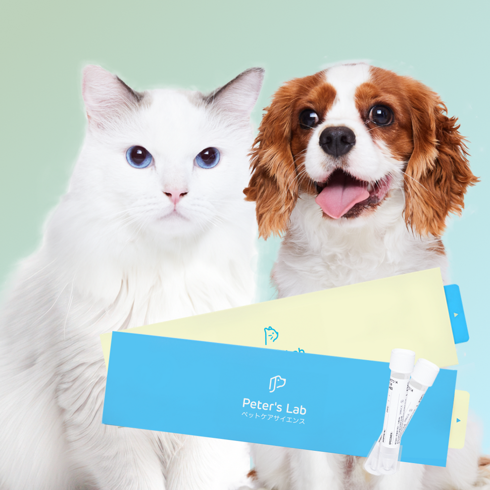 [犬猫 多頭用] ピータース・ラボ 検査キット 40種類 疾病検査 – Peter's Lab