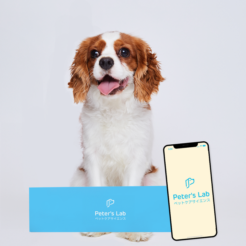 [犬 多頭用] ピータース・ラボ 検査キット_40種類 疾病検査 – Peter's Lab