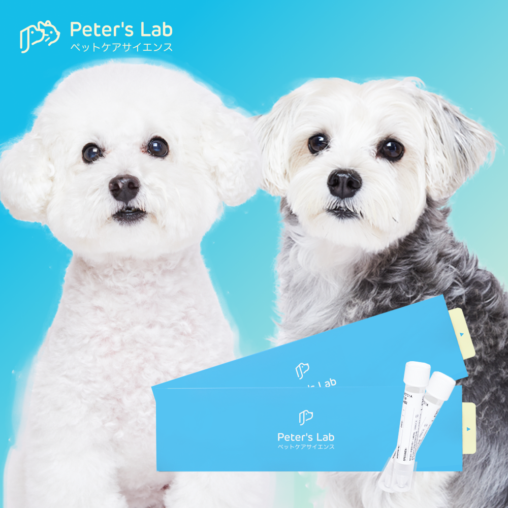 [犬 多頭用] ピータース・ラボ 検査キット_40種類 疾病検査 – Peter's Lab